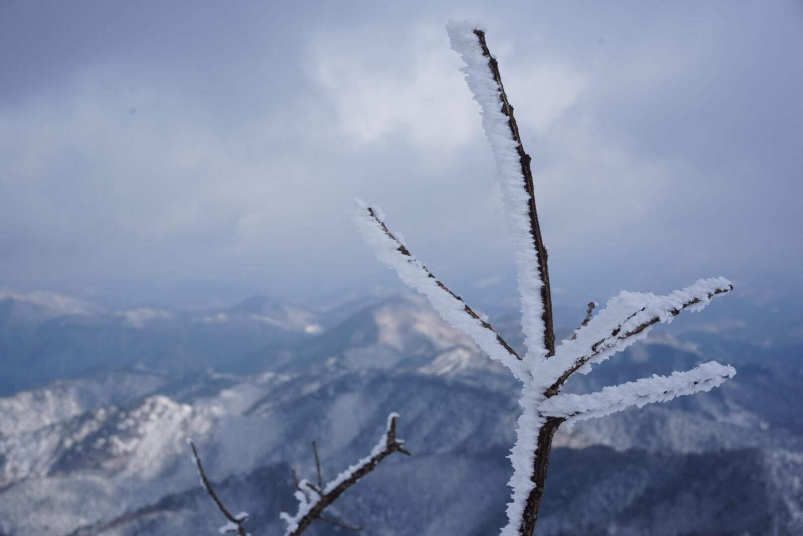 厳冬期の深入山 / 6Kのパンチョさんの深入山の活動データ | YAMAP / ヤマップ