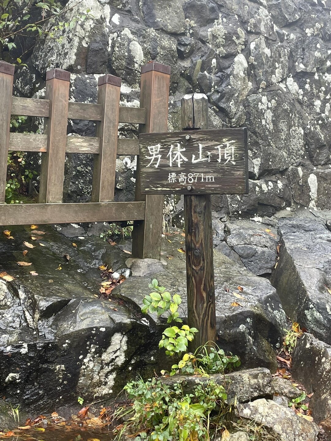 筑波山（男体山）ケーブル往復 / s06007さんの筑波山の活動データ | YAMAP / ヤマップ