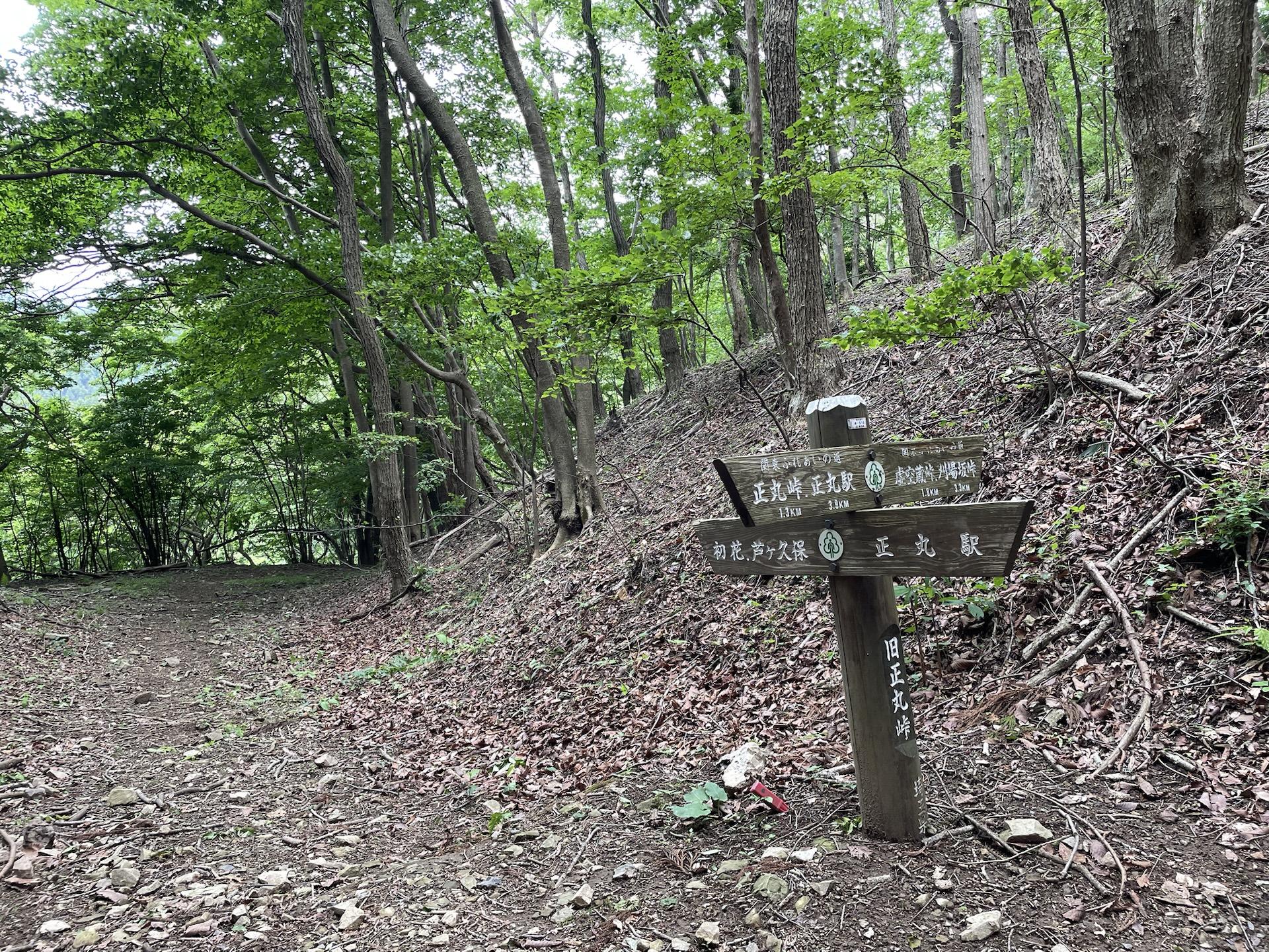 鎌倉街道山ノ道 正丸峠 / sibacciさんの武甲山・伊豆ヶ岳・小持山の活動データ | YAMAP / ヤマップ