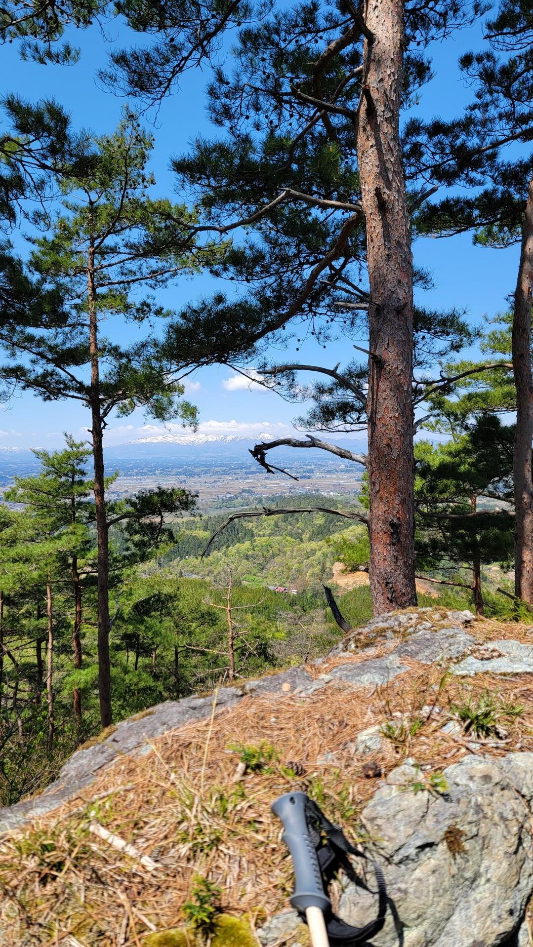 大師山 / Naorinさんの大師山の活動データ | YAMAP / ヤマップ