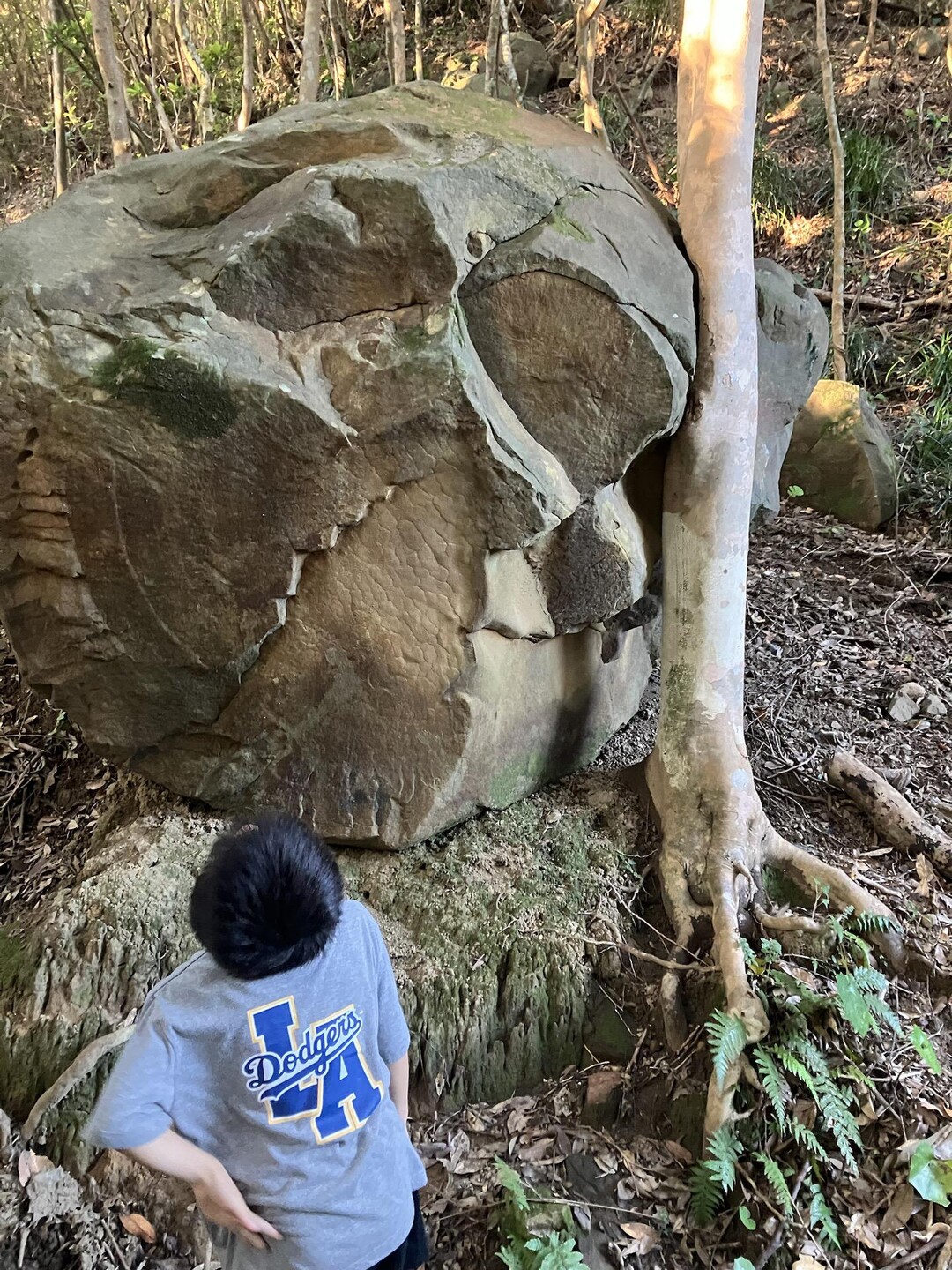 宮崎県 鵜戸神宮 波切神社 日の出st 2024-10-13 / @shun 1さんのウォーキングの活動データ | YAMAP / ヤマップ