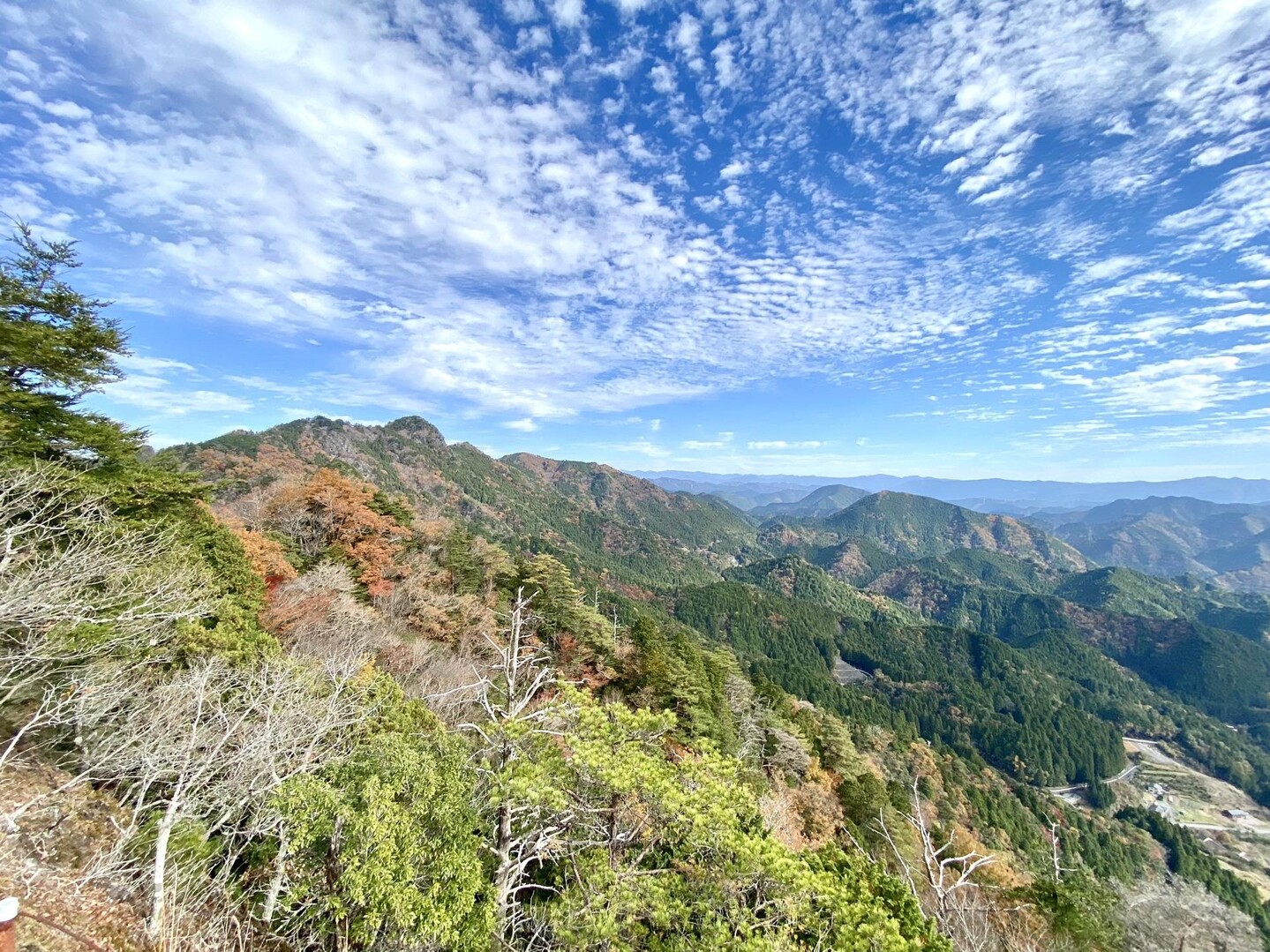 ぐるっと岩古谷山 / Ima3さんの宇連山・鳳来寺山・岩古谷山の活動データ | YAMAP / ヤマップ