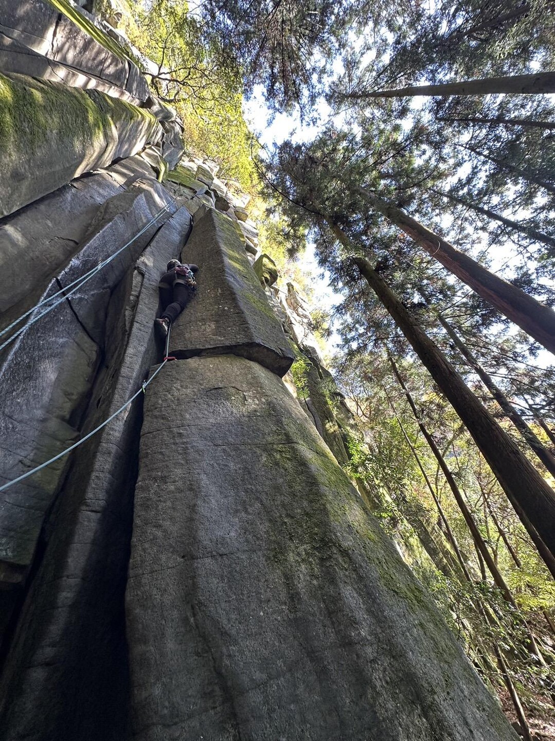 名張 「入門」RP出来ました ️ 限定ぢ... / miuさんのモーメント | YAMAP / ヤマップ