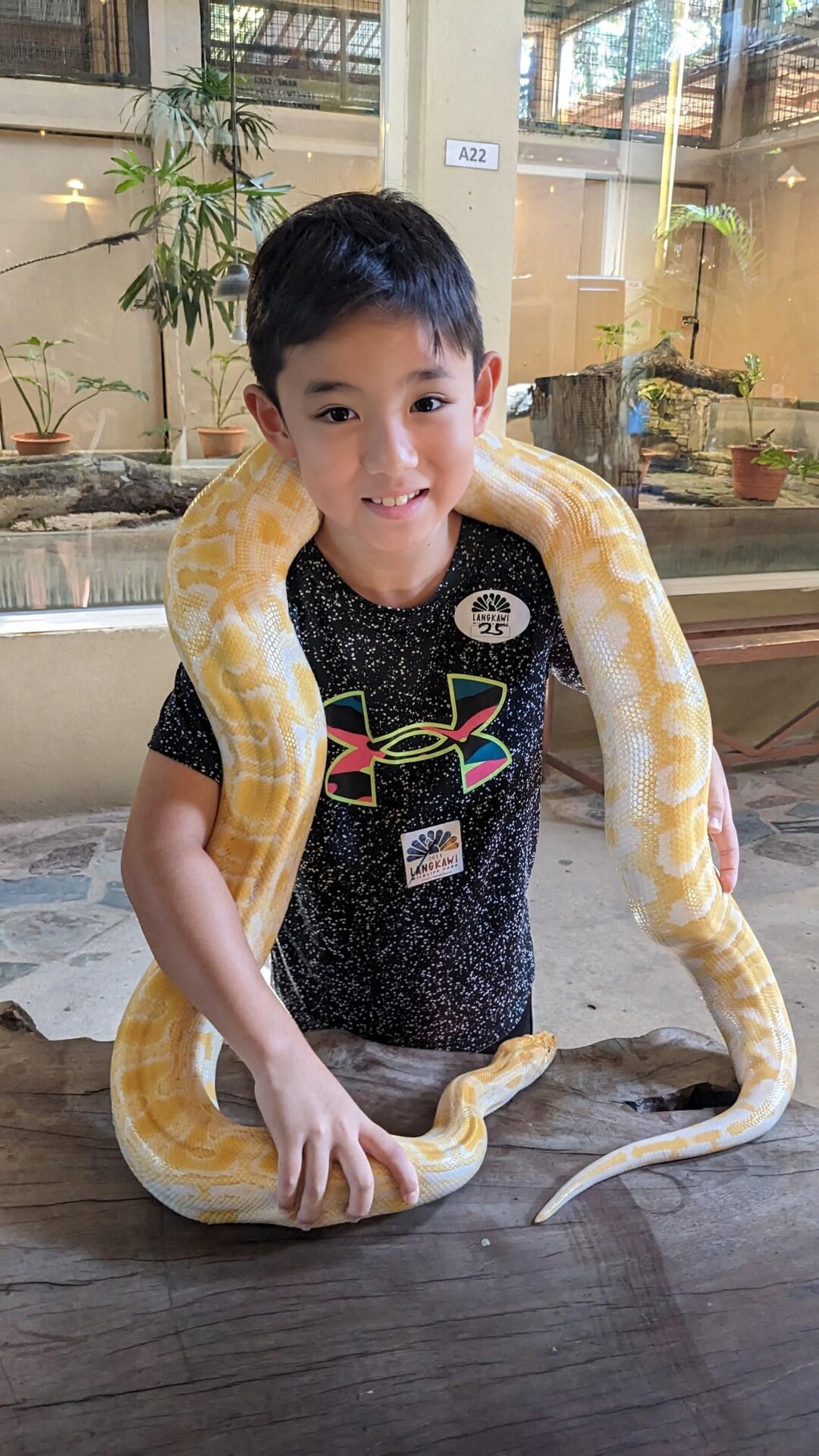 ランカウイ島とリペ島 / ima3さんの観光の活動データ | YAMAP / ヤマップ