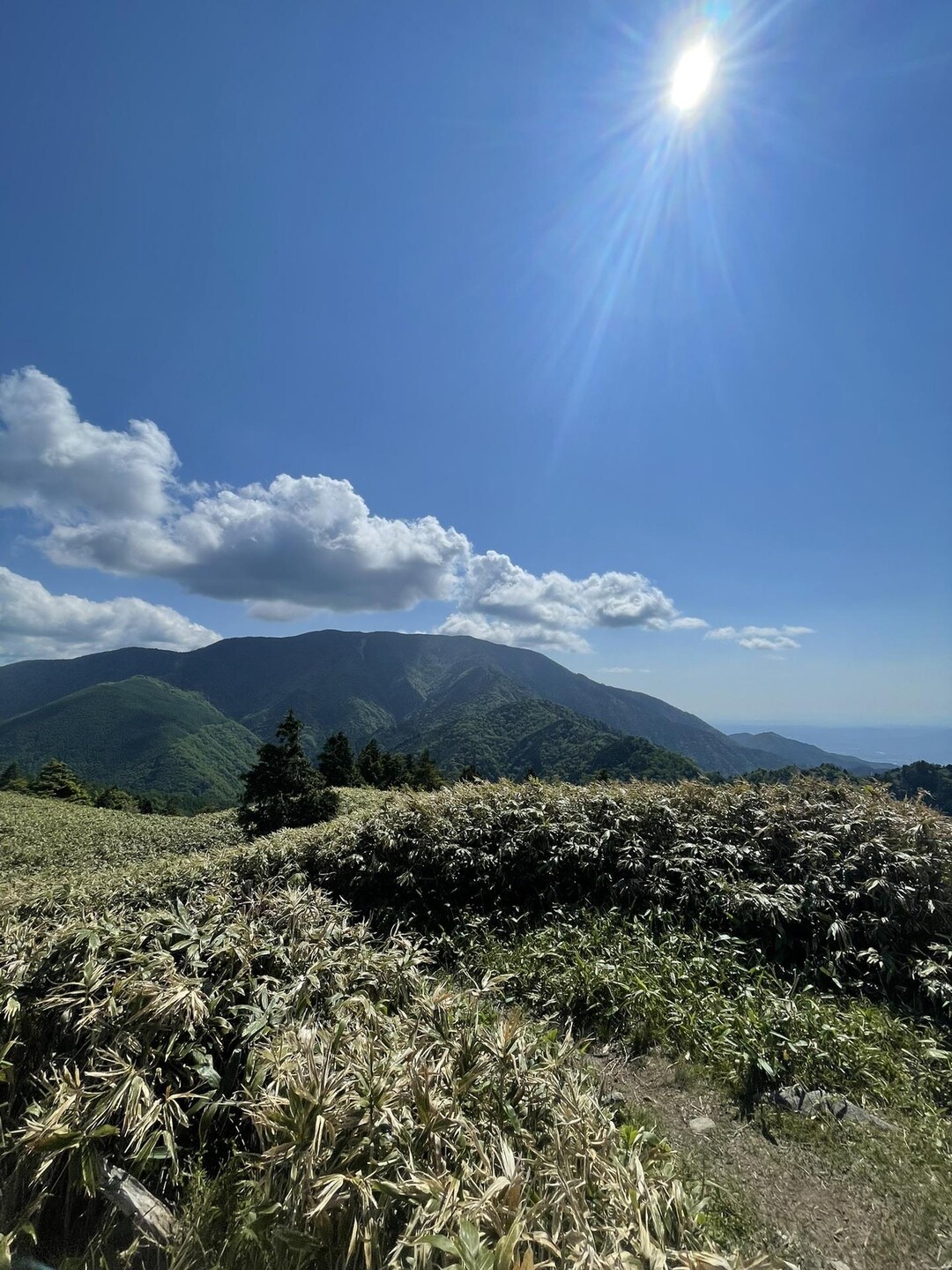 千両山・大判山・恵那山 / Yoさんの恵那山・大判山・神坂山の活動日記 | YAMAP / ヤマップ