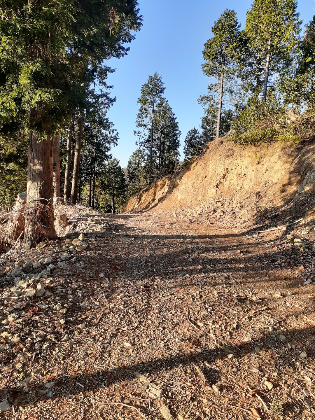 MAKOTOさんの投稿したフィールドメモ | YAMAP / ヤマップ