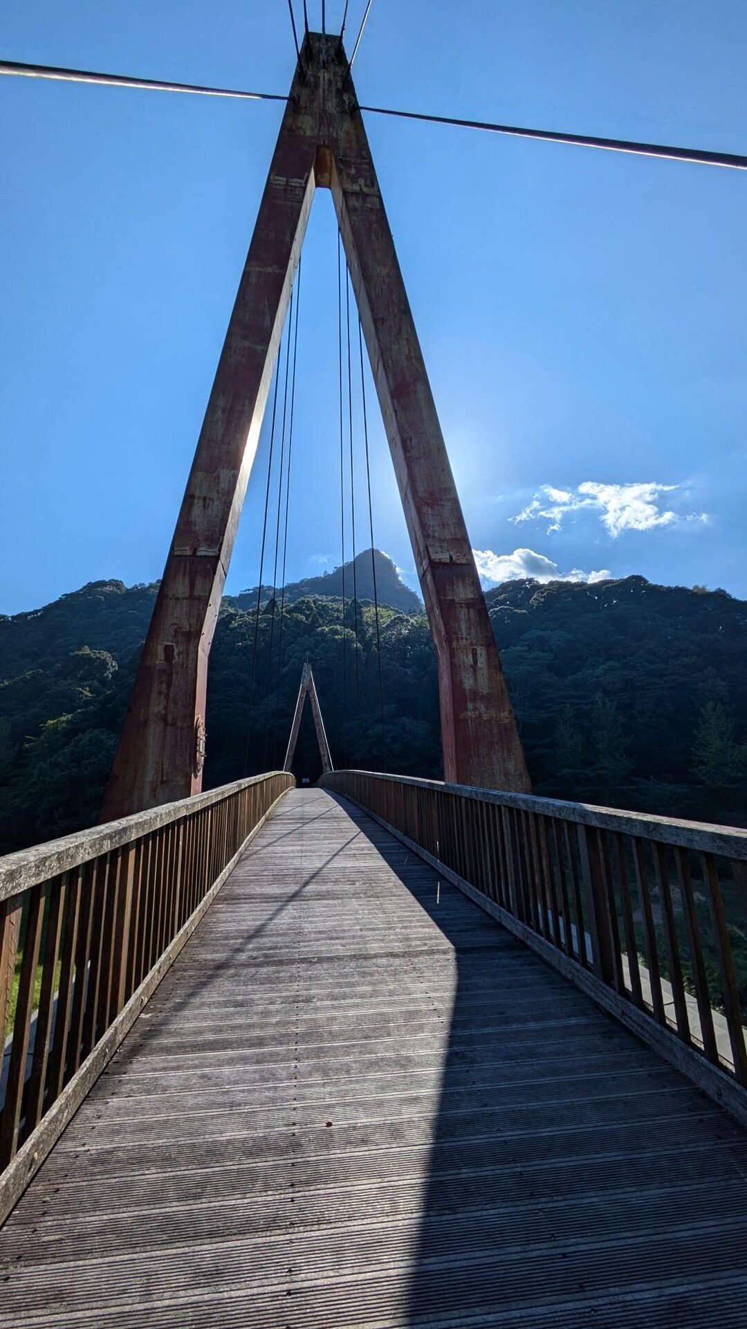 鷹ノ子岳 / R.こちみん さんの八重山・鷹ノ子岳の活動データ | YAMAP / ヤマップ