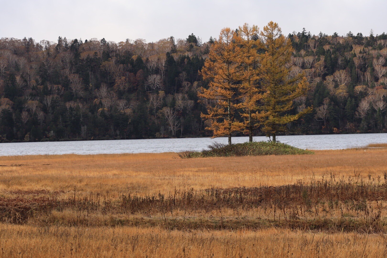 尾瀬沼・沼山峠から裏燧林道周回-2019-10-20 / ta-kuさんの尾瀬・燧ヶ岳の活動データ | YAMAP / ヤマップ