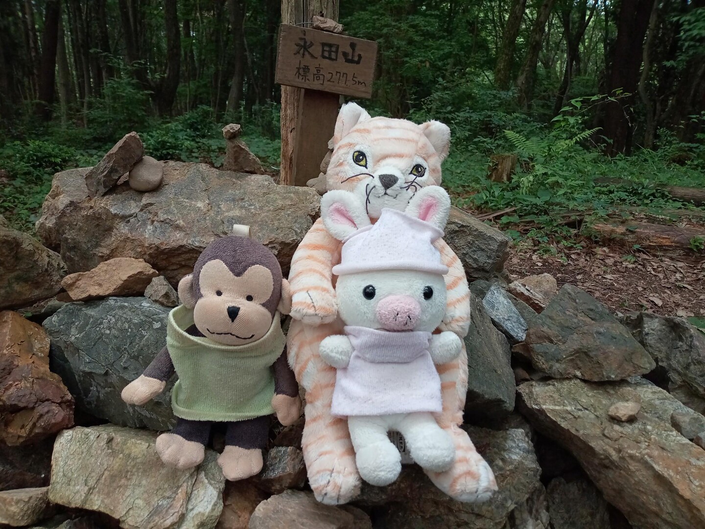 天覚山はこっちで良し！飯能〜東吾野 / monkichi_1さんのヤマノススメ巡礼マップ（天覚山・大高山・子の権現）の活動データ | YAMAP / ヤマップ