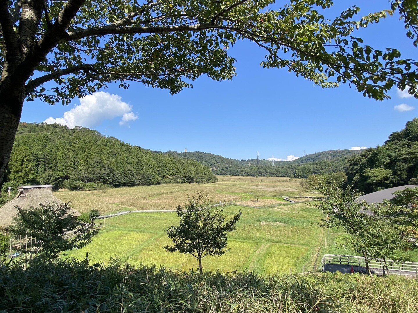 中池見湿地の周回〜🎶 / kyoさんの天筒山・中池見湿地の活動データ | YAMAP / ヤマップ
