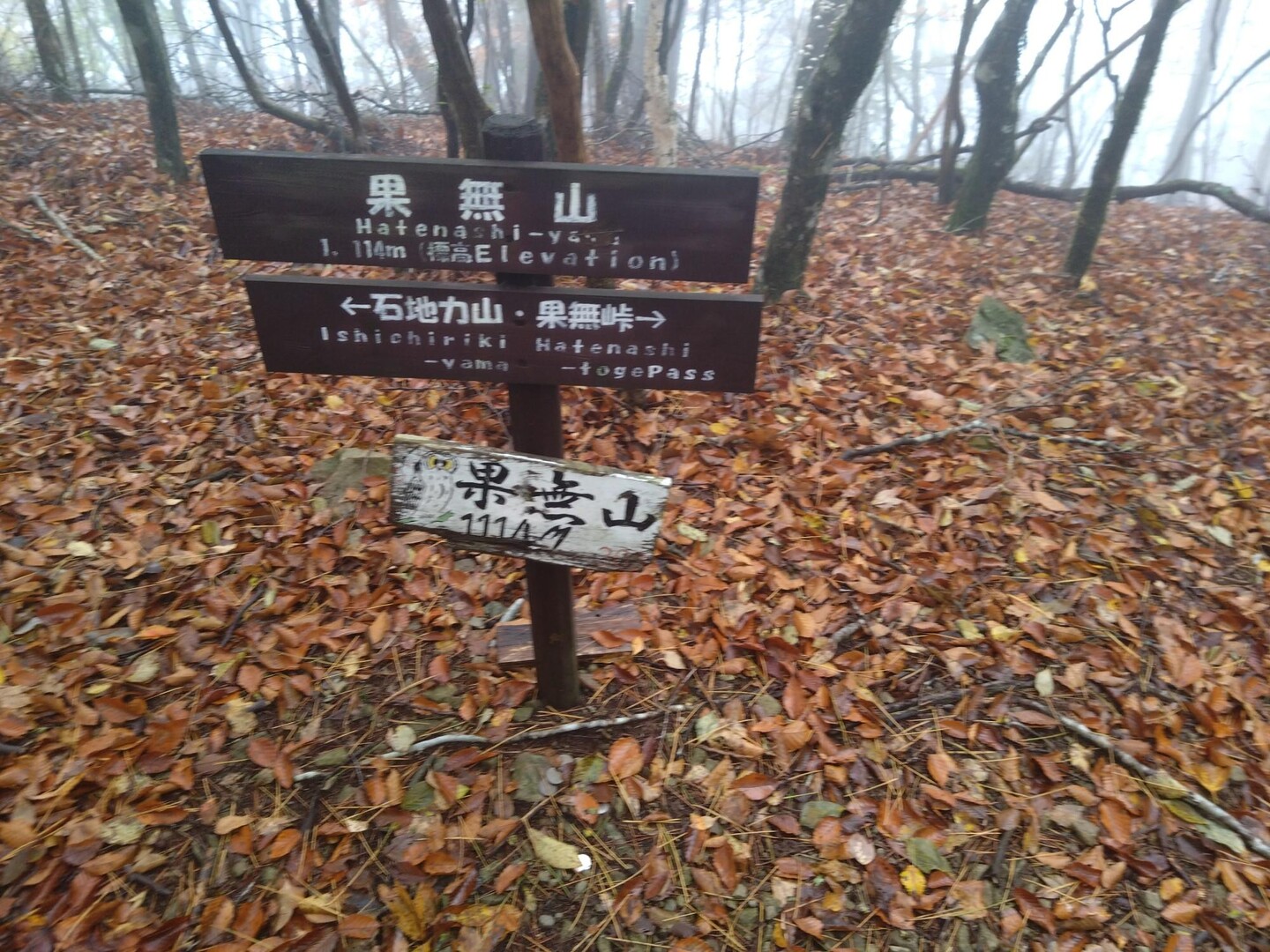 果無山 / satoAさんの五大尊岳の活動データ | YAMAP / ヤマップ