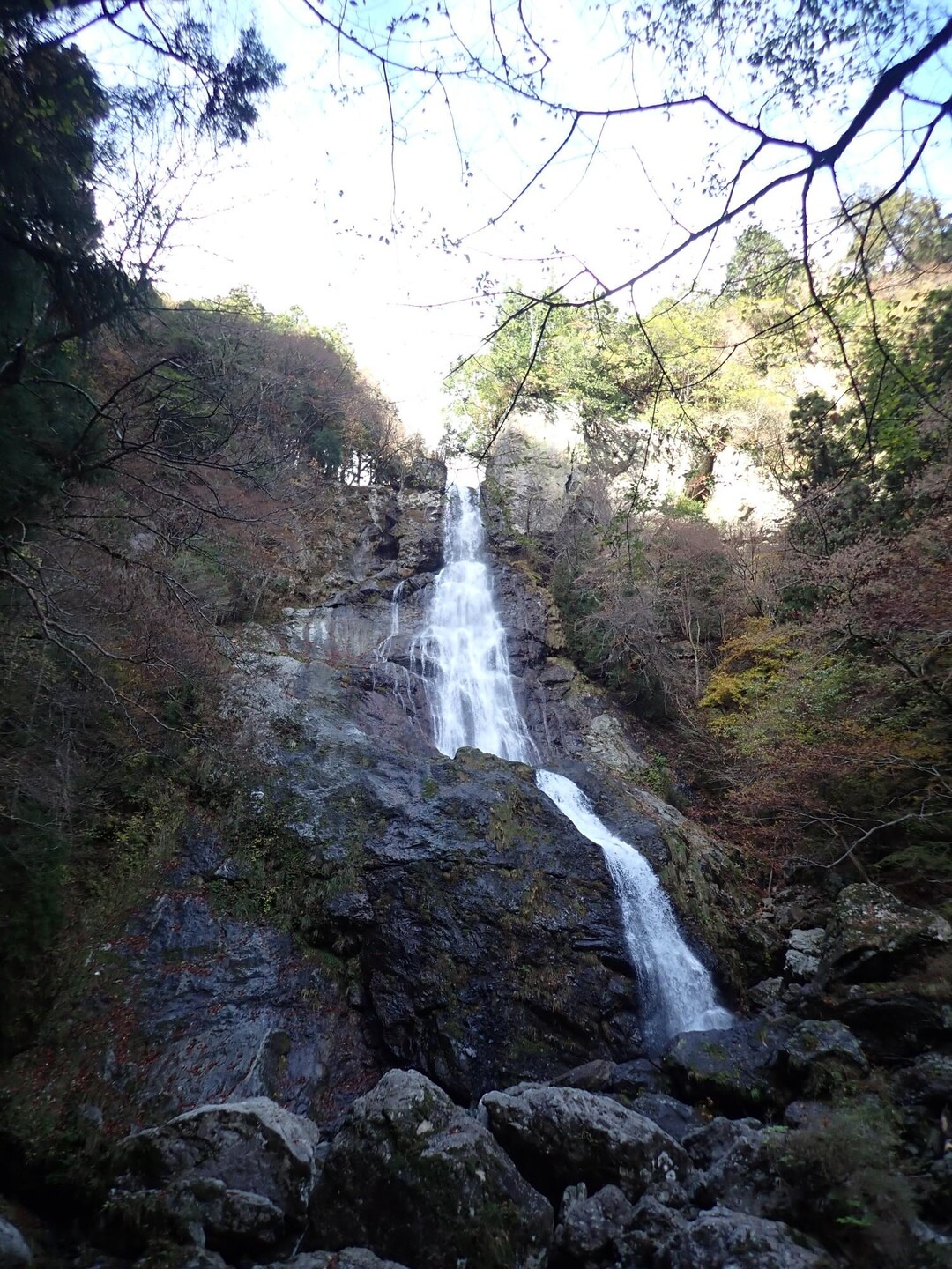 吉野川水系下多古川本谷、琵琶ノ滝登攀(2023-11-14) / けもの道さんのウォーキングの活動データ | YAMAP / ヤマップ