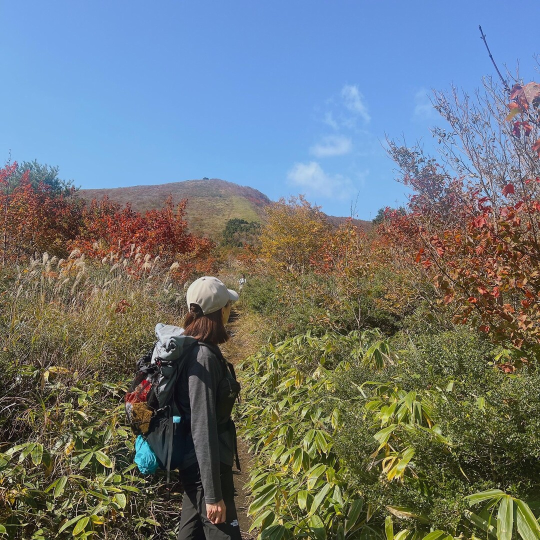 吾妻山・烏帽子山 / jyamiさんの比婆山・立烏帽子山・吾妻山の活動データ | YAMAP / ヤマップ
