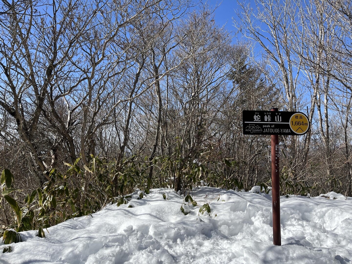蛇峠山 / circeさんの蛇峠山の活動データ | YAMAP / ヤマップ