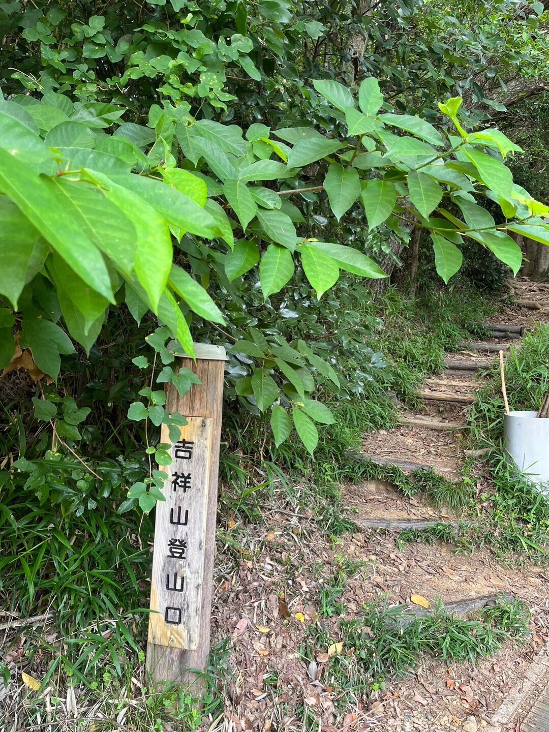 久しぶりの山歩き 吉祥山 早くも いが... / mocchiさんのモーメント | YAMAP / ヤマップ