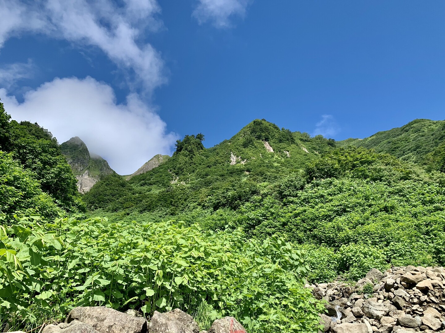 雨飾山 / saccoさんの雨飾山・大渚山・天狗原山・戸倉山の活動データ | YAMAP / ヤマップ