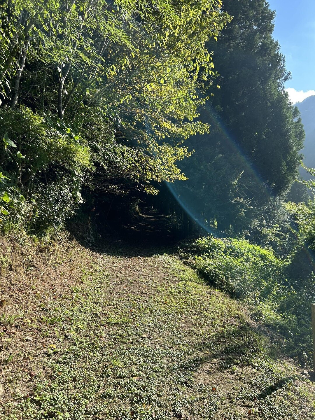 奥山・白倉岳・金糞岳 / Yuriさんの金糞岳の活動データ | YAMAP / ヤマップ