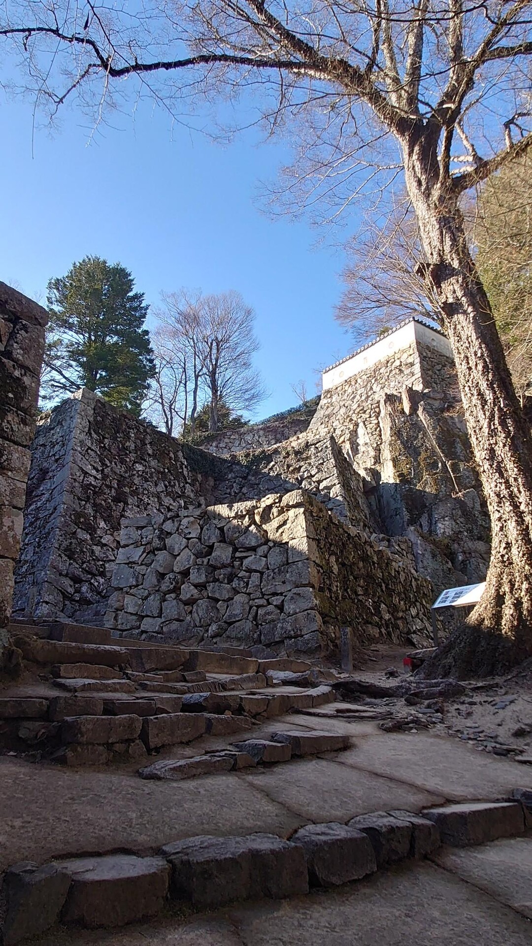 blackmoreさんの投稿したフィールドメモ | YAMAP / ヤマップ