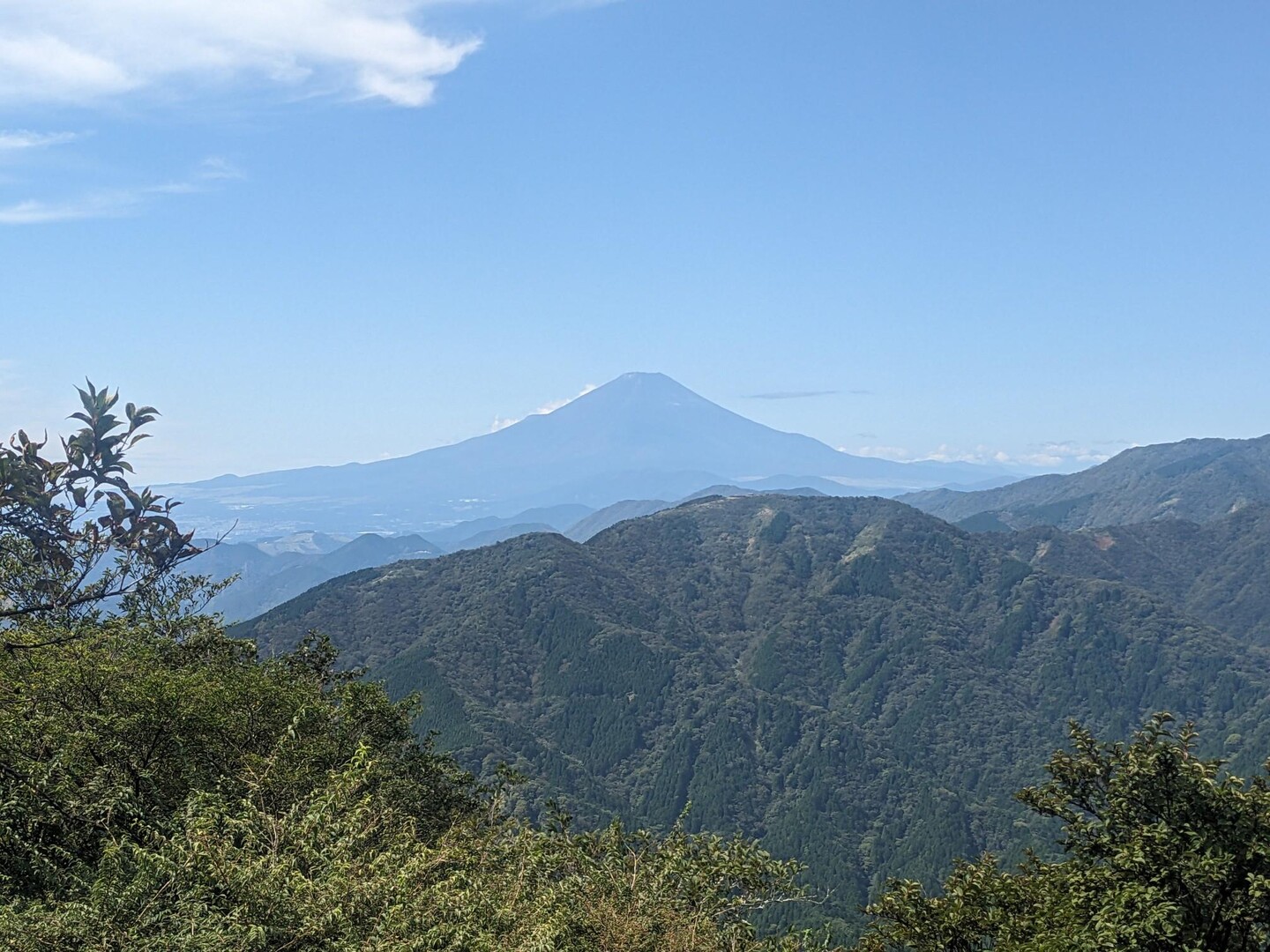 大山 / カズvanさんの大山の活動データ | YAMAP / ヤマップ