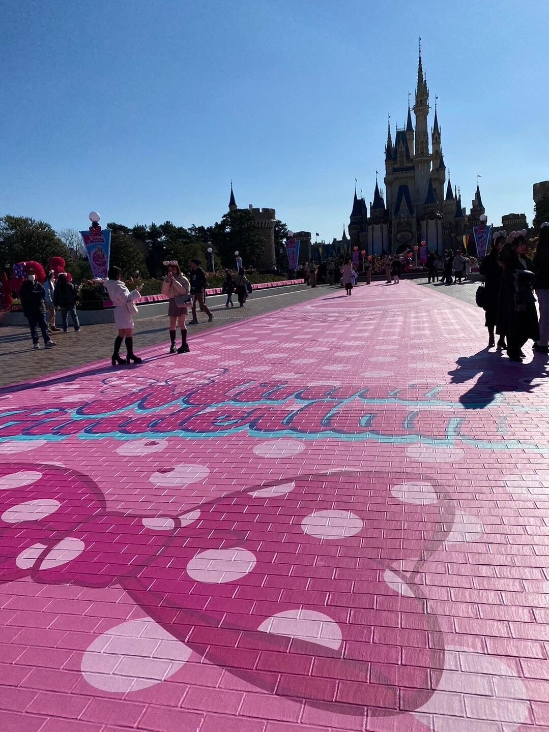 東京ディズニーランド / kpk_cooさんのウォーキングの活動データ | YAMAP / ヤマップ