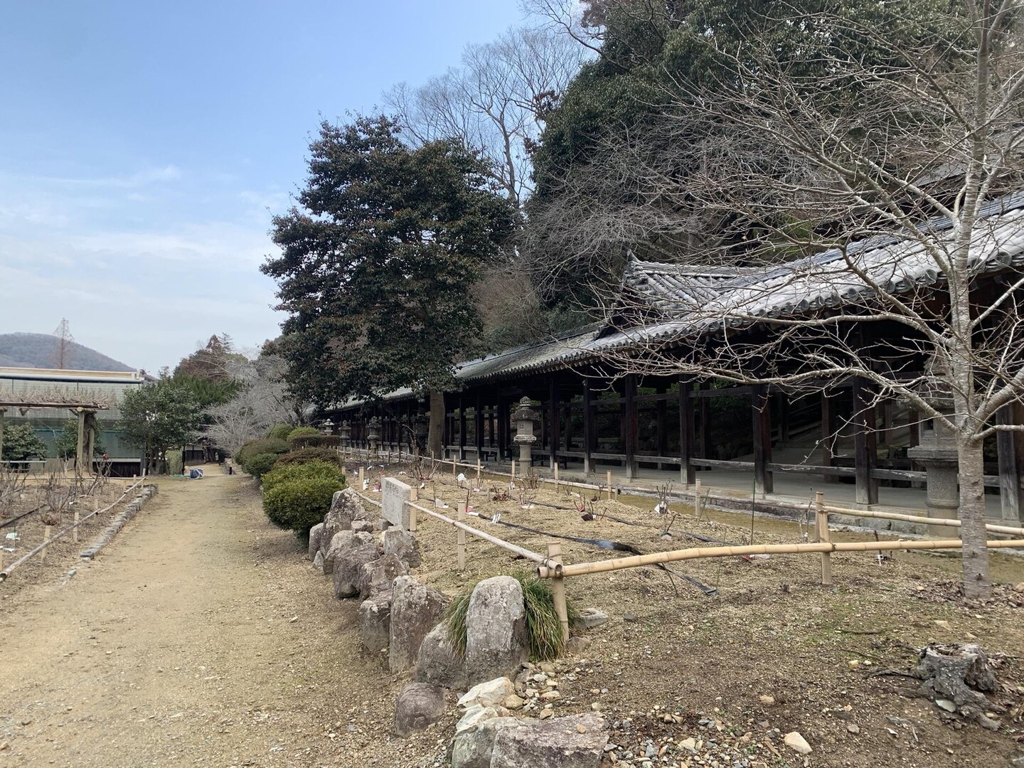 R6.2.10 龍王山・吉備中山 / あおかつさんの吉備中山・龍王山の活動データ | YAMAP / ヤマップ