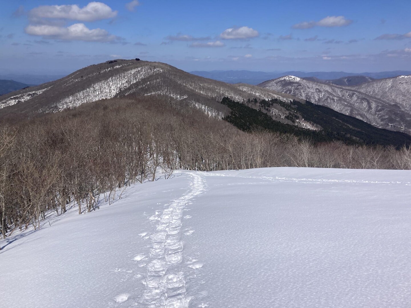 烏帽子山・比婆山 / kecoさんの比婆山・立烏帽子山・吾妻山の活動データ | YAMAP / ヤマップ