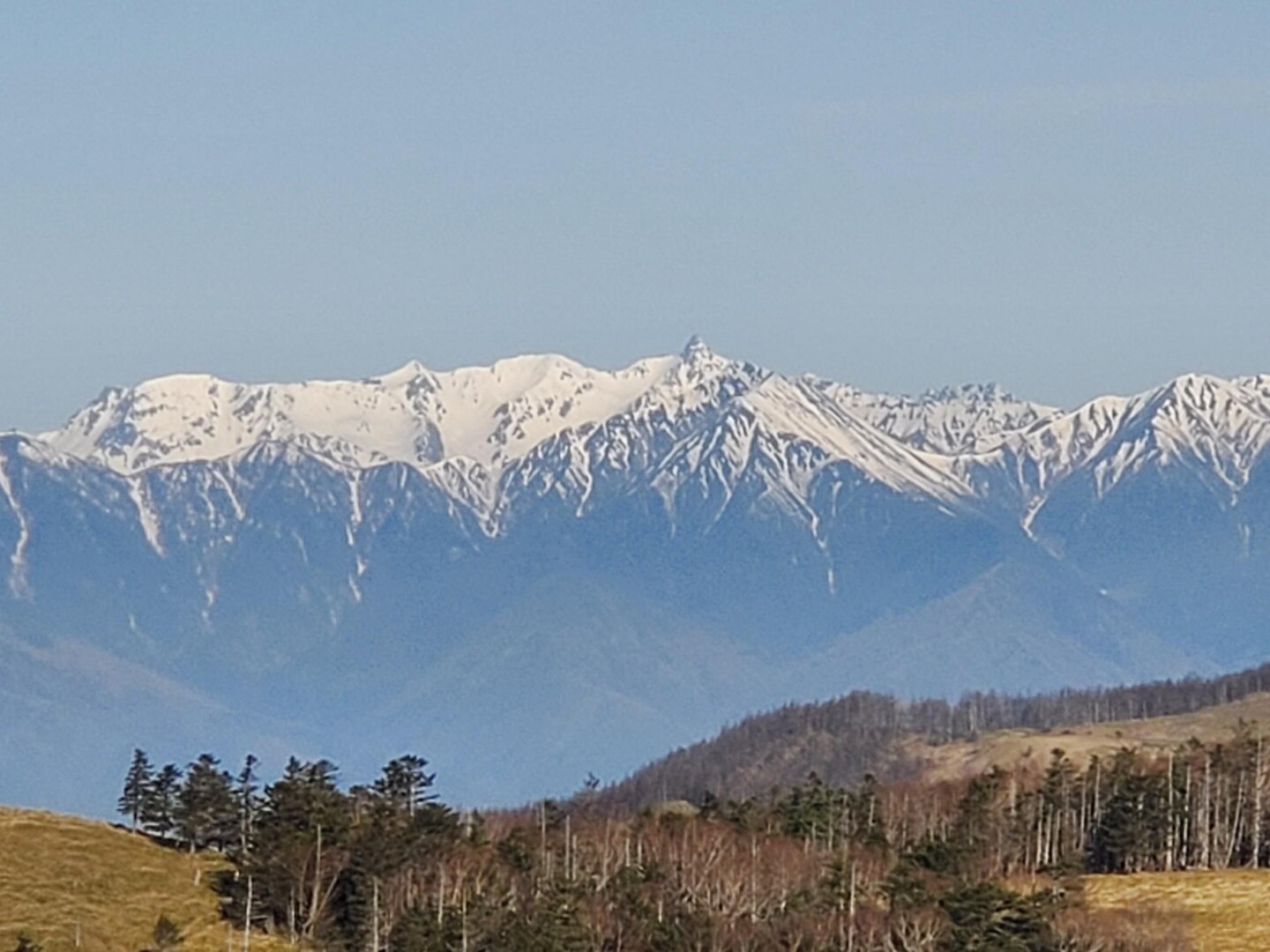 牛伏山・美ヶ原（王ヶ頭）・王ヶ鼻 / E35-sun☀️さんの美ヶ原の活動データ | YAMAP / ヤマップ