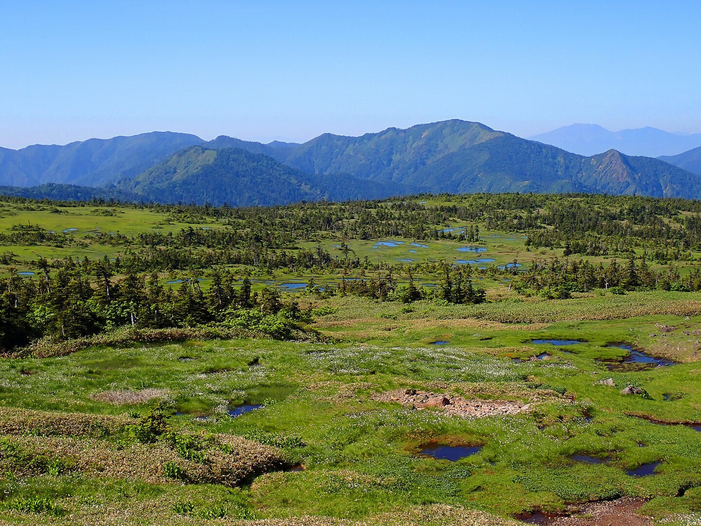 苗場山 / Haktさんの苗場山・赤倉山・佐武流山の活動データ | YAMAP / ヤマップ