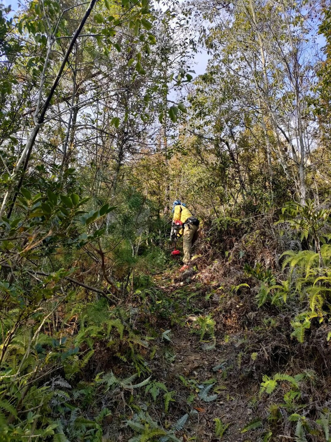 和気アル整備 No34－1 / ティアラさんの和気アルプス・和気富士・神ノ上山の活動データ | YAMAP / ヤマップ