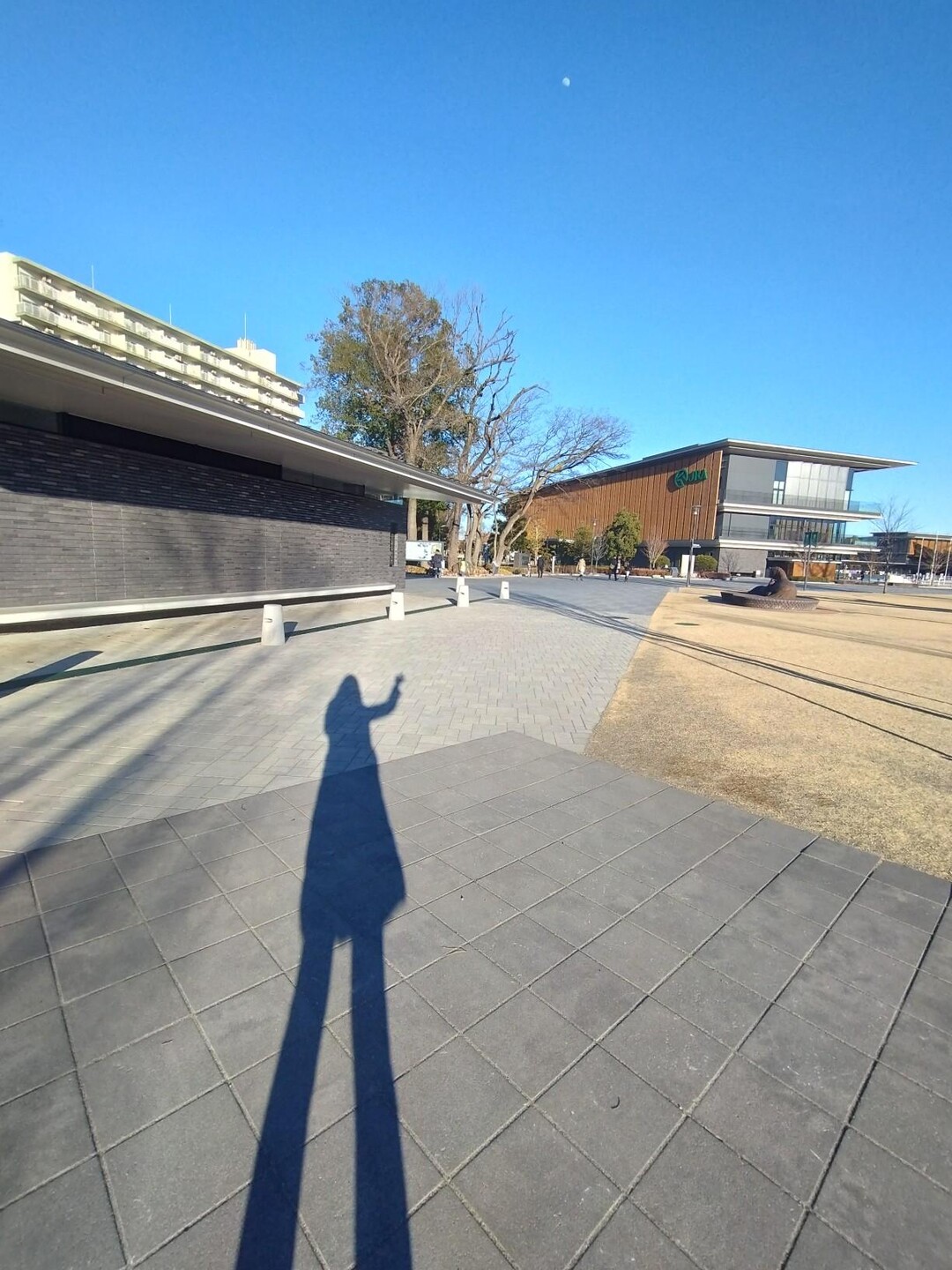 今日のお散歩 / emiさんのモーメント | YAMAP / ヤマップ