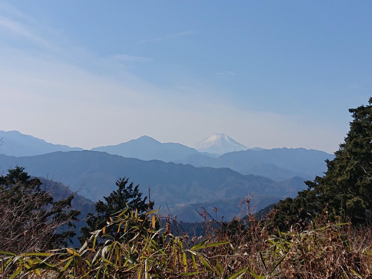 高尾セブンサミッツ / Em(エム)さんの高尾山・陣馬山・景信山の活動データ | YAMAP / ヤマップ