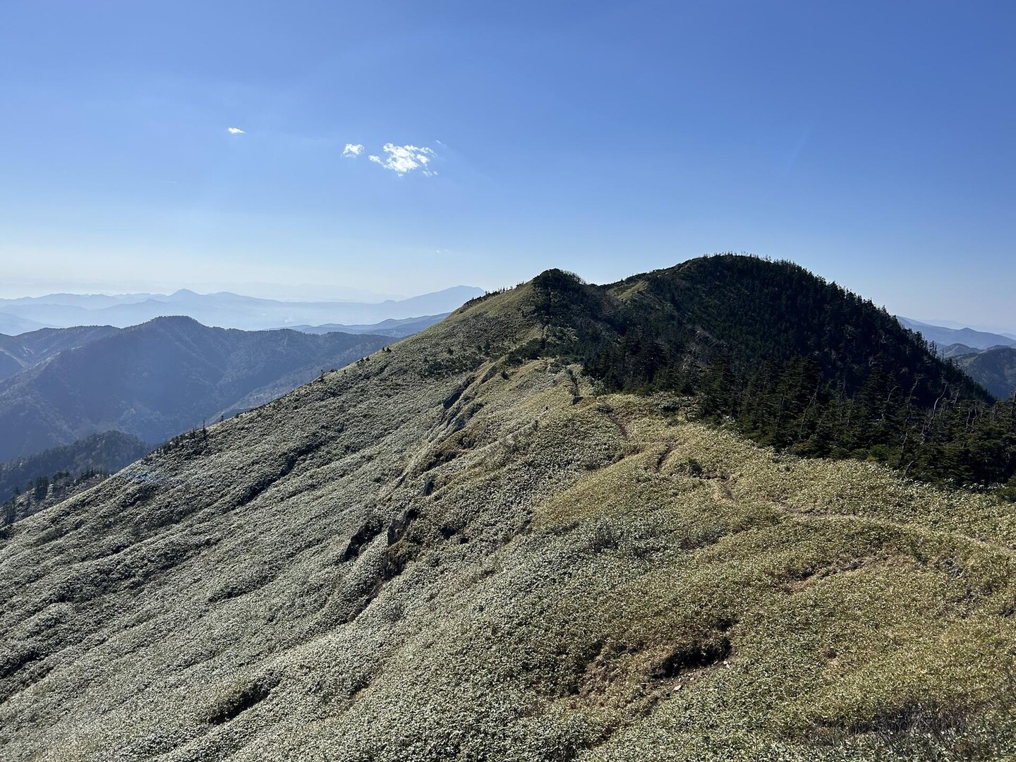 岩菅山・裏岩菅山 / nakkoさんの岩菅山・寺小屋峰の活動データ | YAMAP / ヤマップ