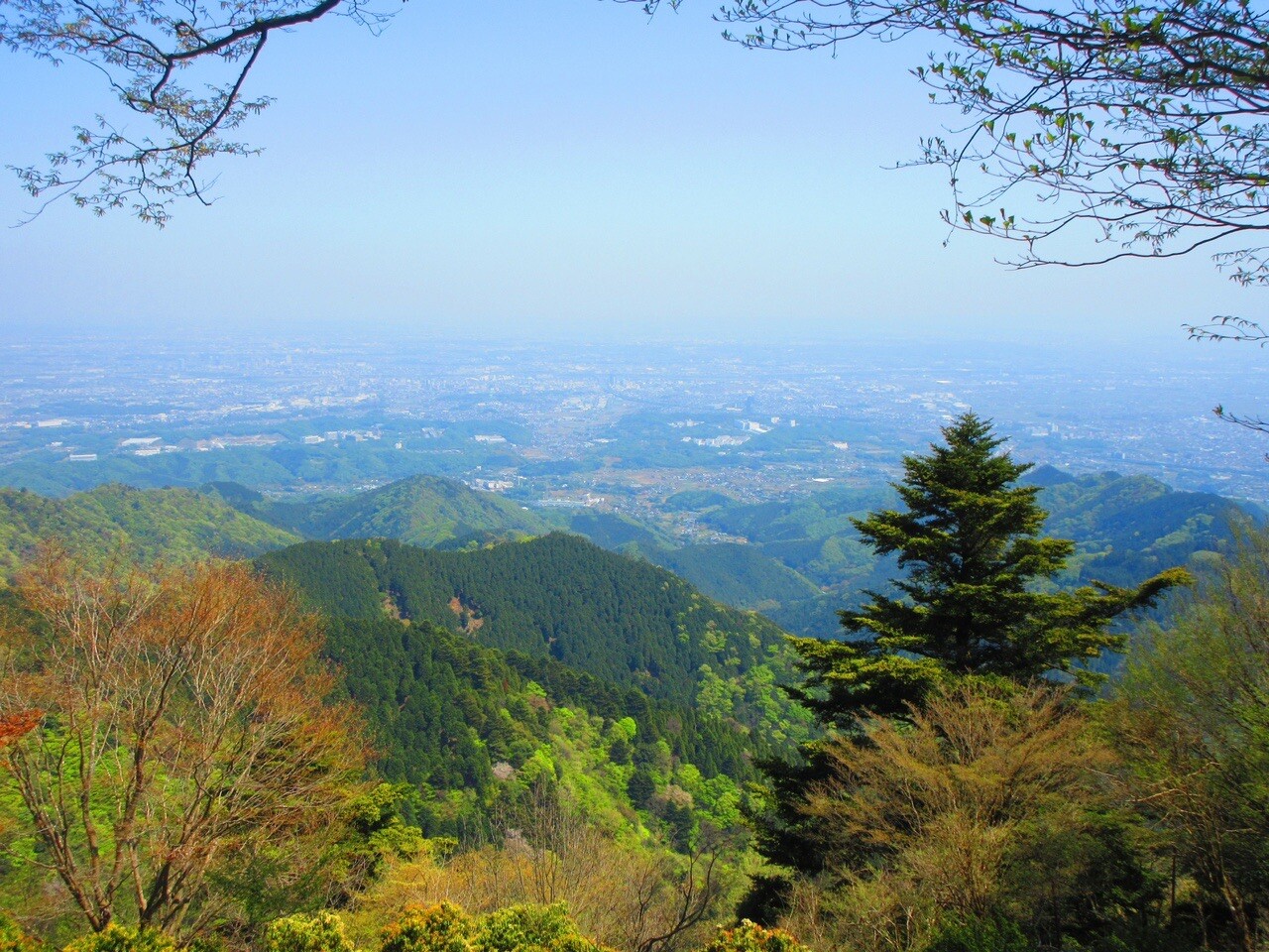 見城山〜不動尻 / gar!さんの大山の活動データ | YAMAP / ヤマップ