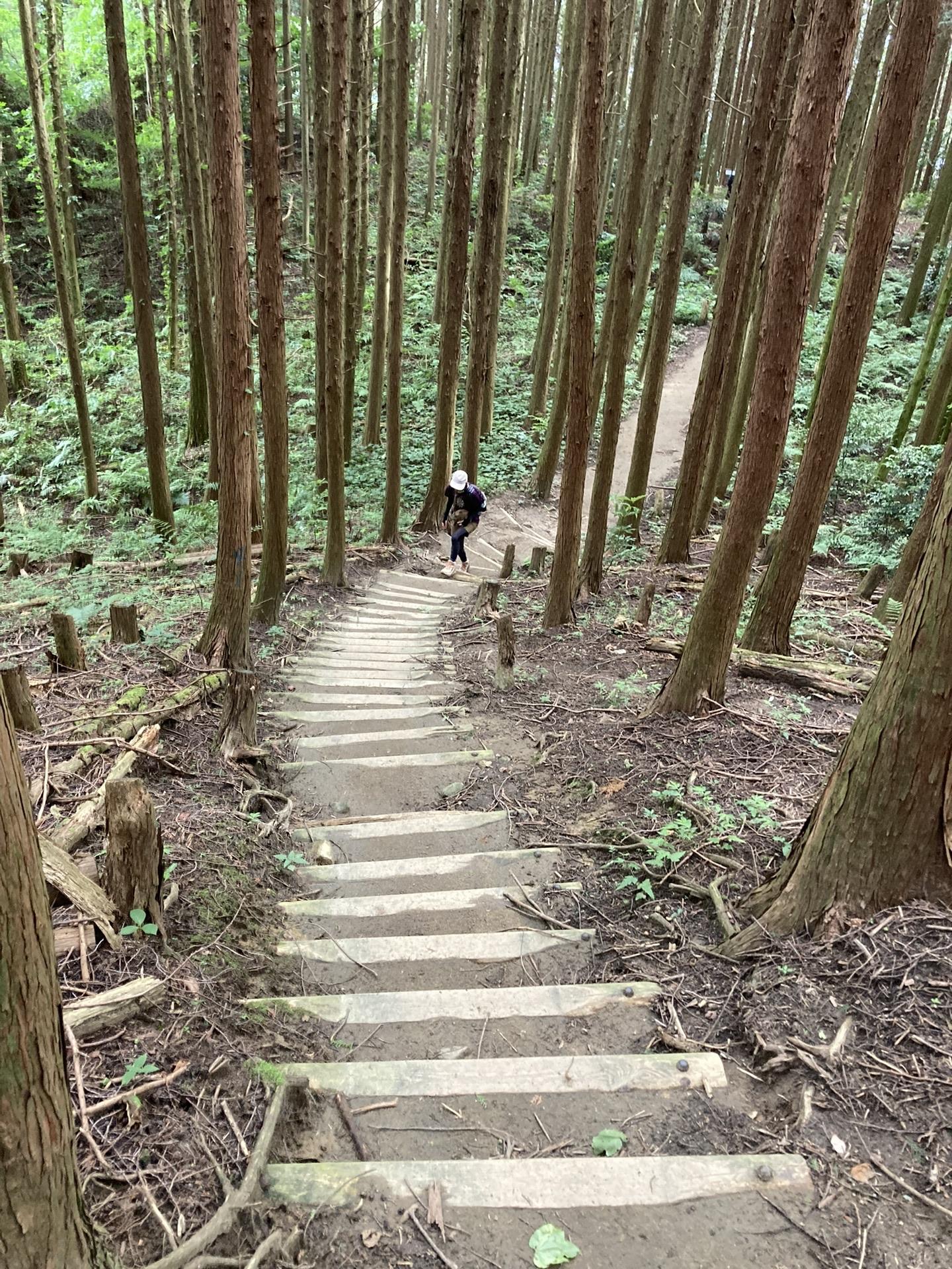 経塚24,25と山⛰️ / YassYassさんの葛城修験エリアマップ（二上山周辺）の活動日記 | YAMAP / ヤマップ