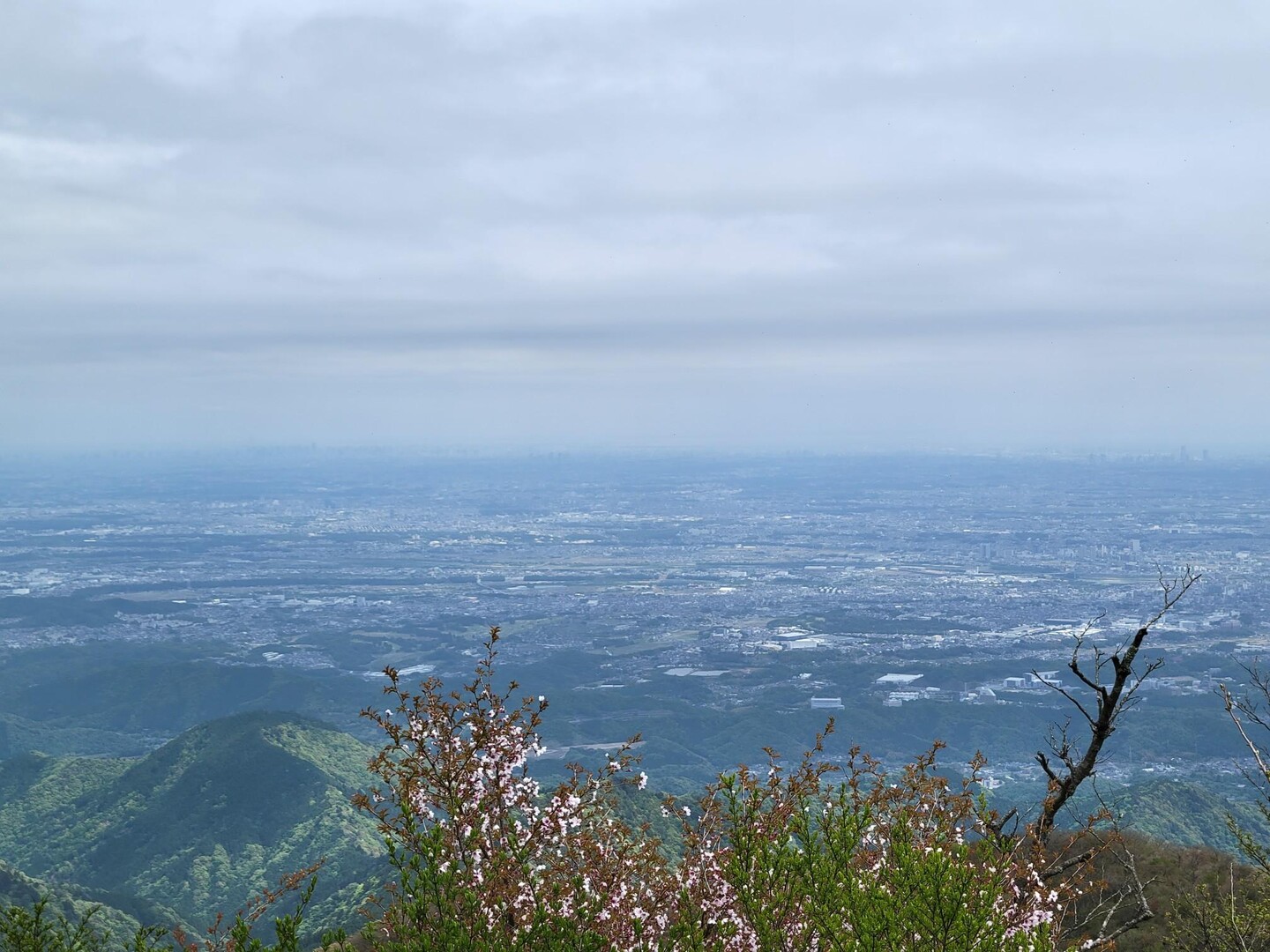 大山 / mo-shiさんの大山の活動データ | YAMAP / ヤマップ