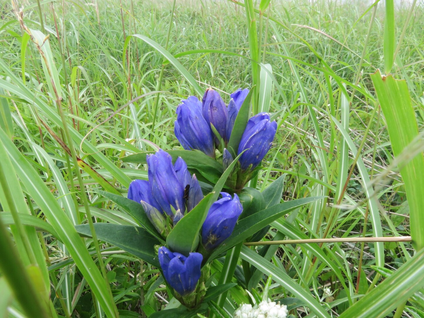 2021.08.13(金) 23:14 / ケロケロ🐸🐸🐸さんのモーメント | YAMAP / ヤマップ