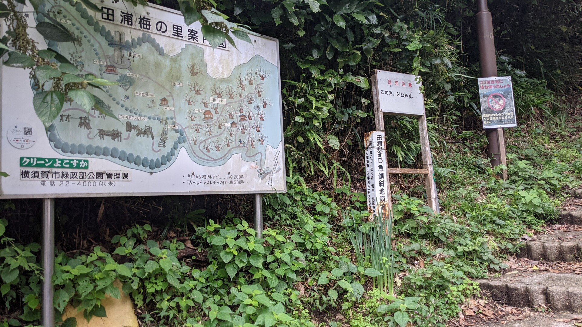 nakameguさんの投稿したフィールドメモ | YAMAP / ヤマップ