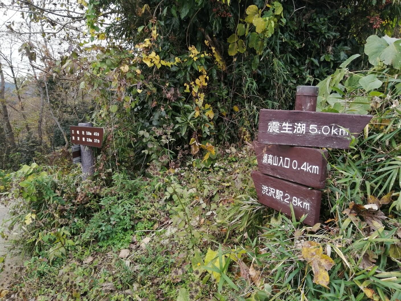 AZUさんの投稿したフィールドメモ | YAMAP / ヤマップ