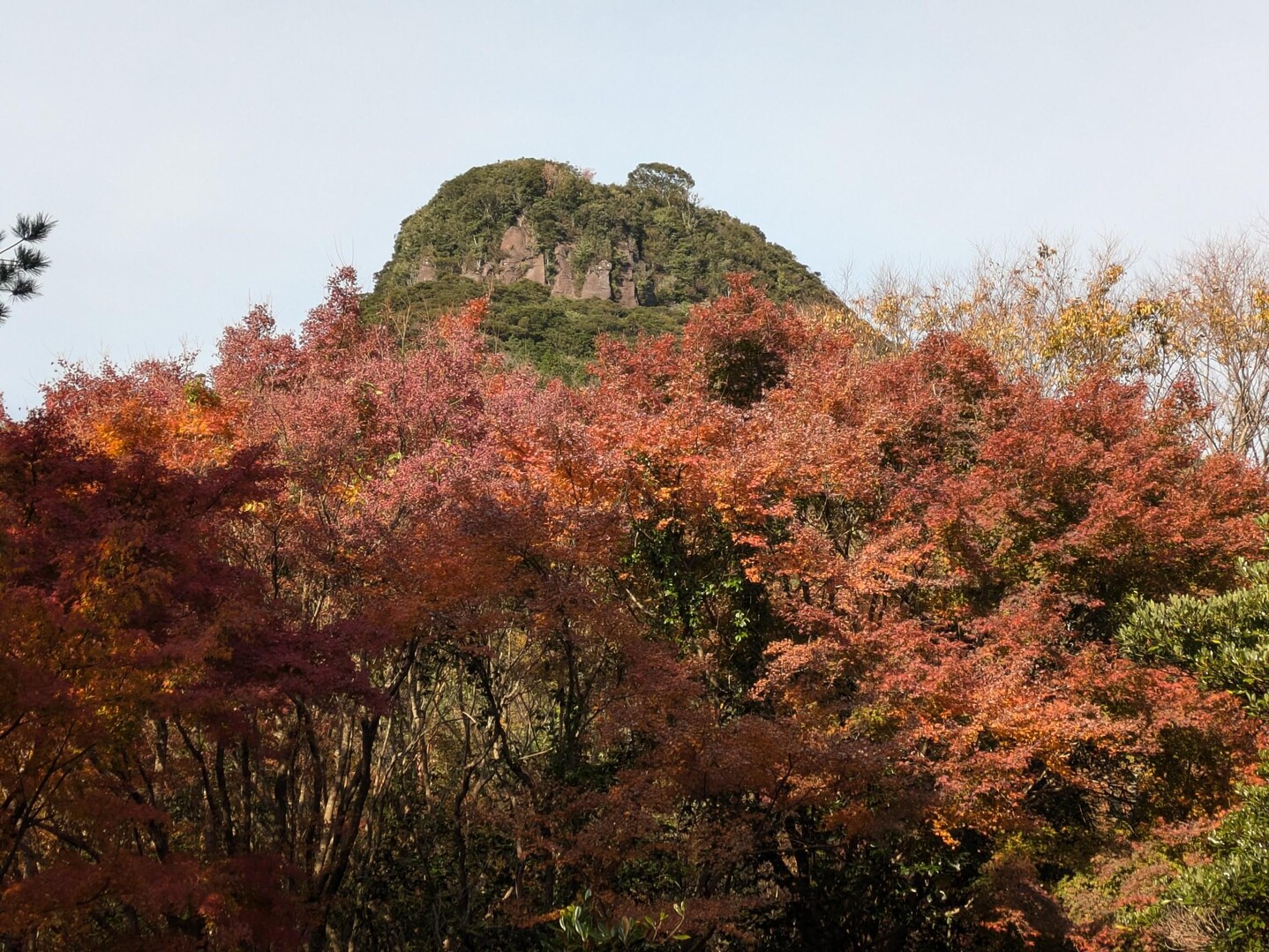 冠岳で紅葉狩り🍁 / がんたさんの冠岳の活動データ | YAMAP / ヤマップ