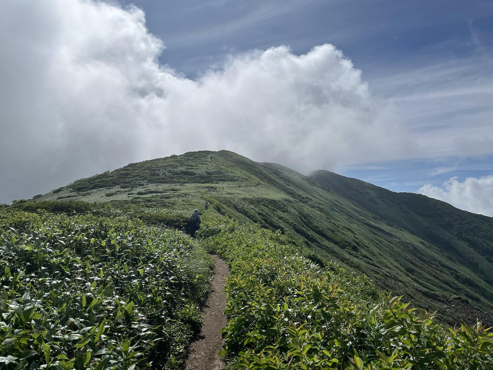 松手山・平標山 / Pongoさんの仙ノ倉山・平標山・大源太山の活動データ | YAMAP / ヤマップ
