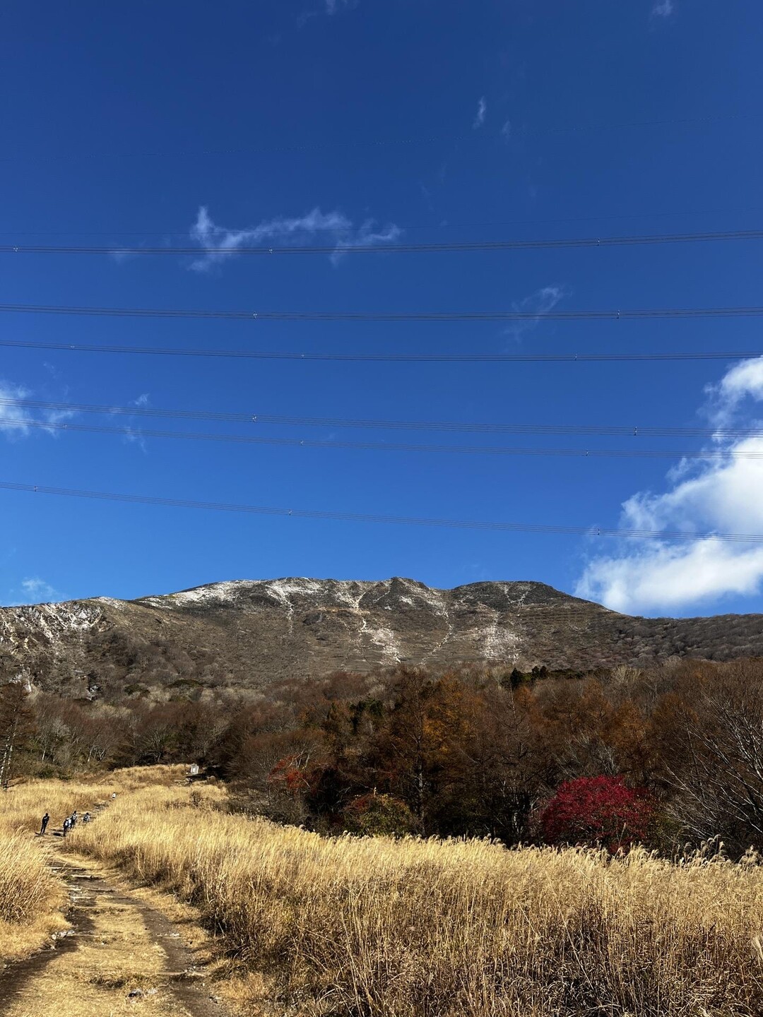 徳蔵山・伊吹山 / macoさんの伊吹山・伊吹高原・御座峰の活動データ | YAMAP / ヤマップ