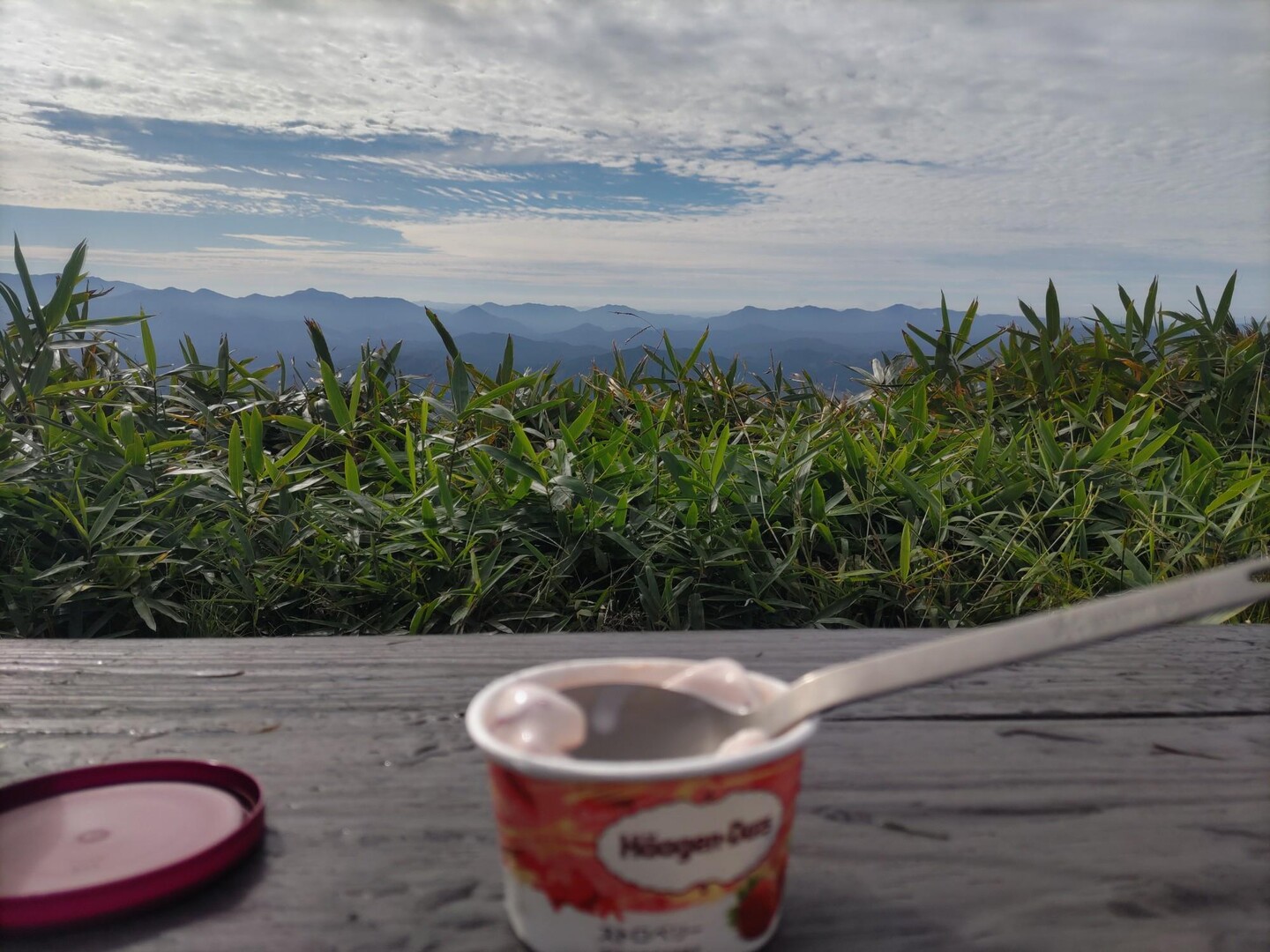 🍧山頂アイス🍧🏔中蒜山🏔 / meriendaさんの蒜山の活動日記 | YAMAP / ヤマップ