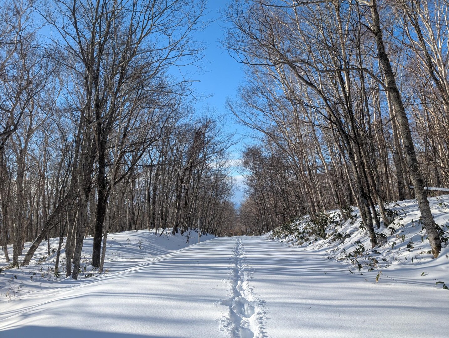 ポンヌプリ / koji iさんの日和山・窟太郎子の活動データ | YAMAP / ヤマップ