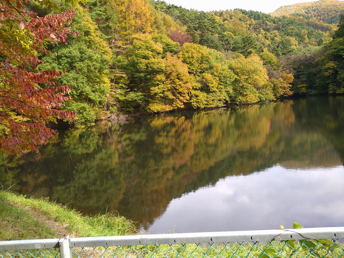 高ボッチ山 / koniさんの鉢伏山・高ボッチ山・三峰山の活動データ | YAMAP / ヤマップ