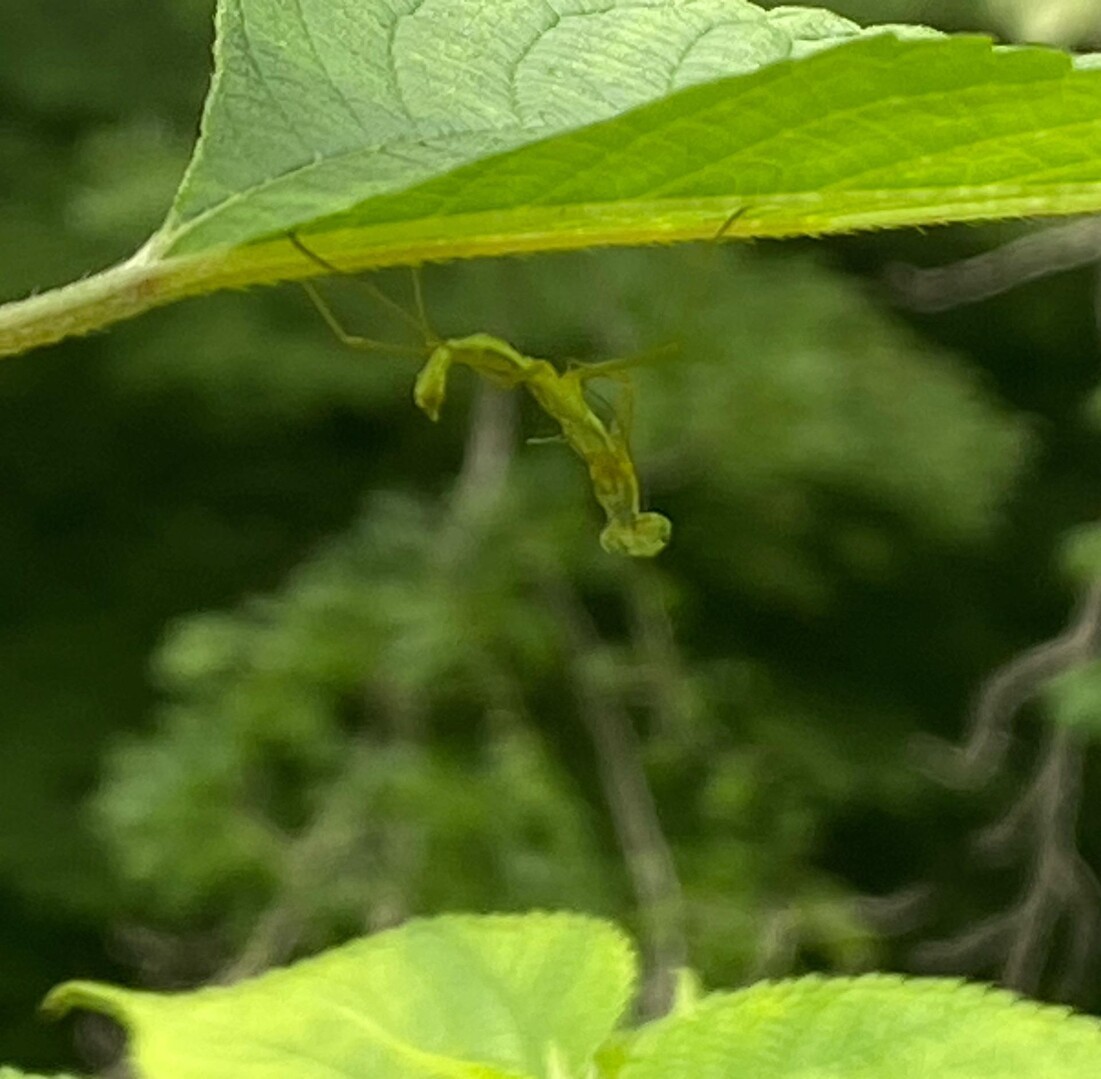 2024.07.08(月) 11:51 / redさんのモーメント | YAMAP / ヤマップ