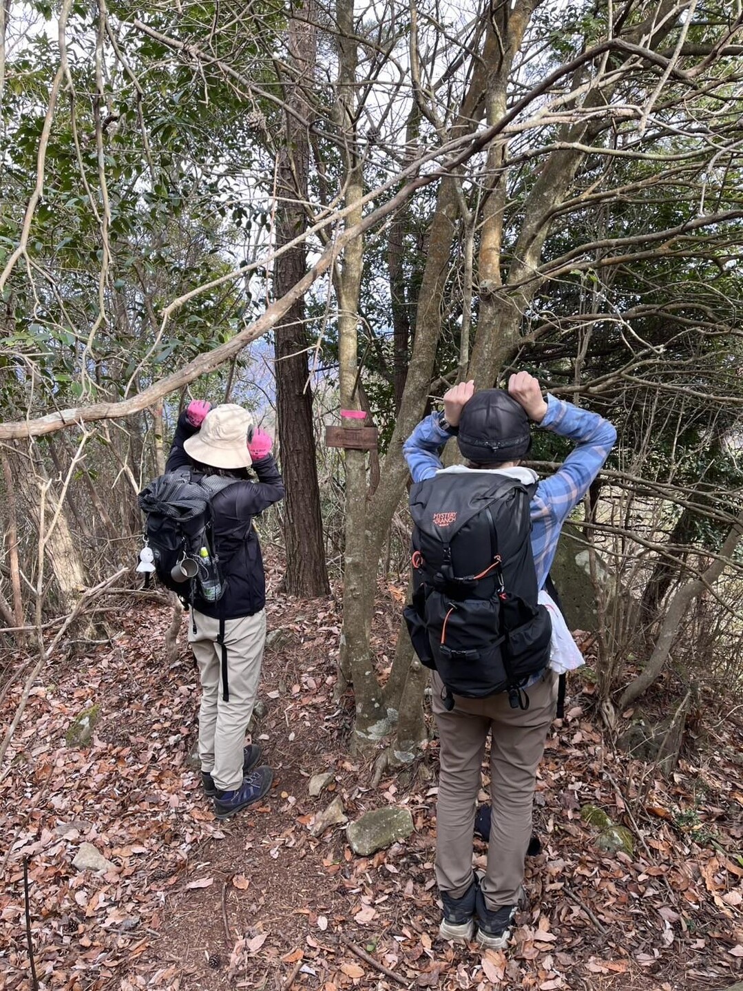 鹿嵐山(雌岳)・鹿嵐山（雄岳）・ねこ山（右耳）・ねこ山（左耳） / HIROMIさんの鹿嵐山の活動日記 | YAMAP / ヤマップ