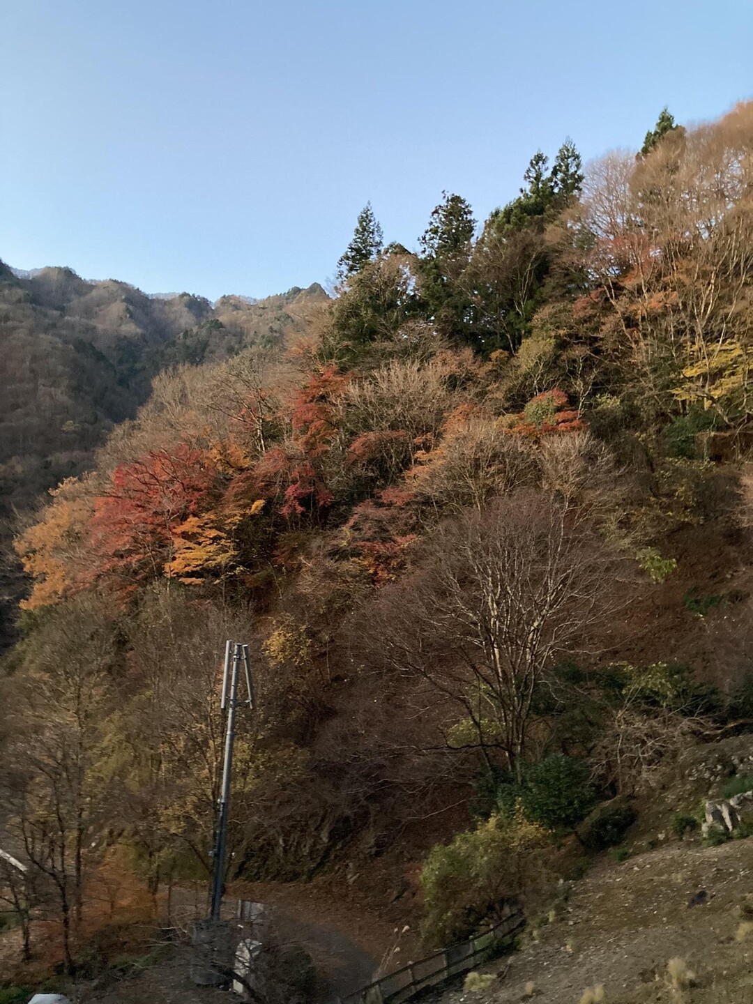 両神山 / つるさんの両神山・諏訪山・二子山の活動データ | YAMAP / ヤマップ