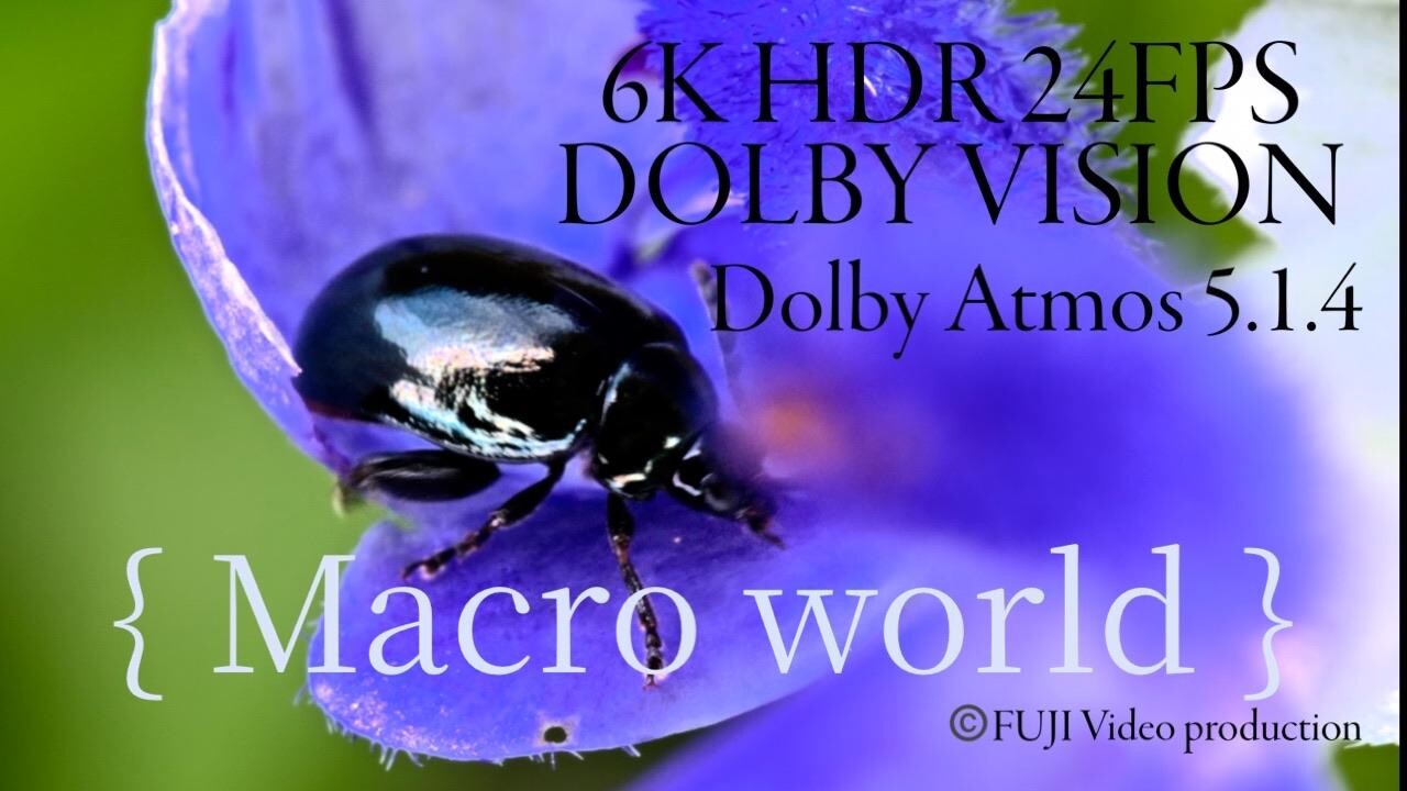 6K HDR 24FPS DOLBY V... / DAIさんのモーメント | YAMAP / ヤマップ