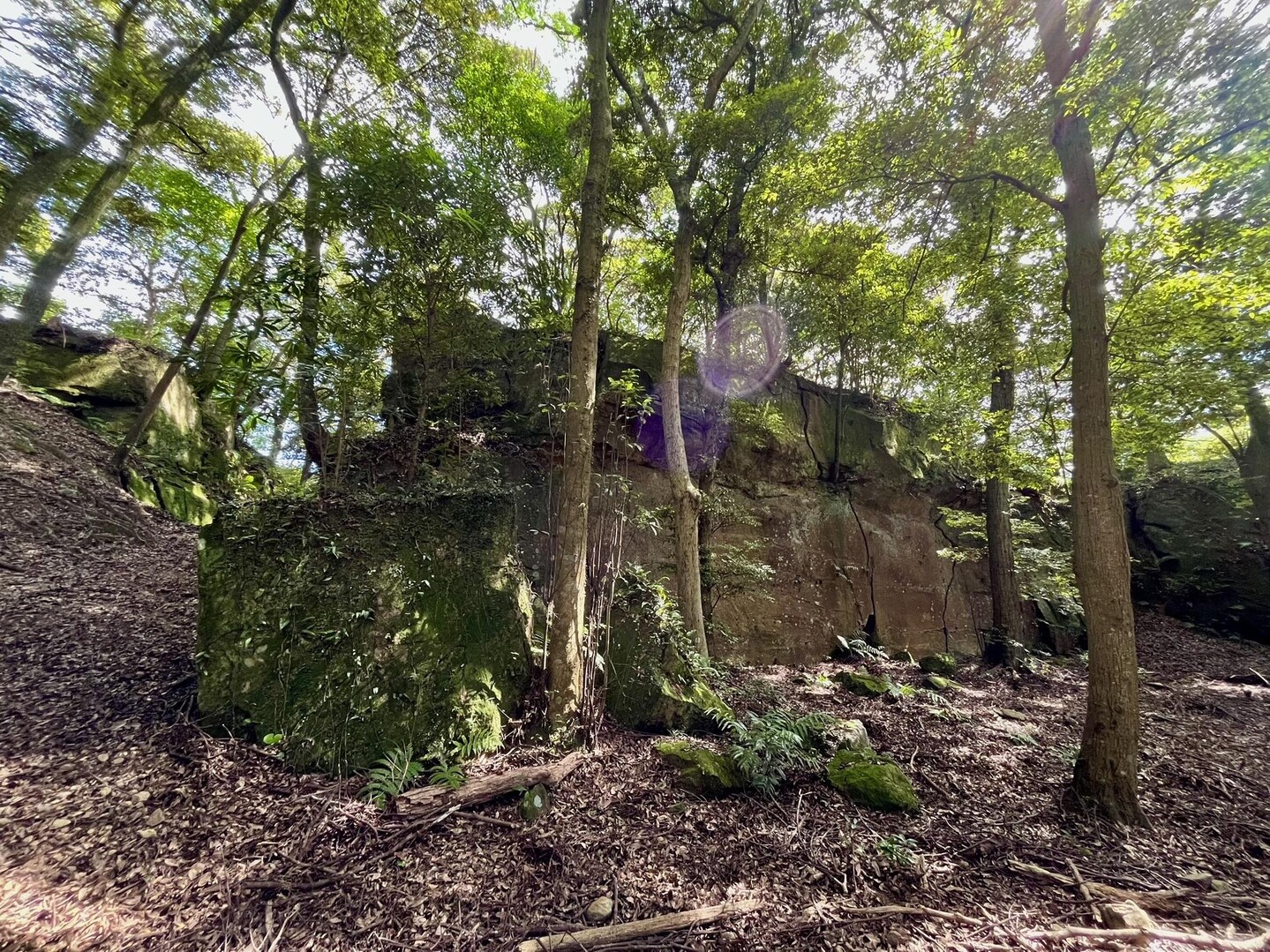 八幡岳のついでに(⑉ ⑉)【白山(獅子城跡)】 / pu_kaoさんの八幡岳・眉山・女山の活動データ | YAMAP / ヤマップ