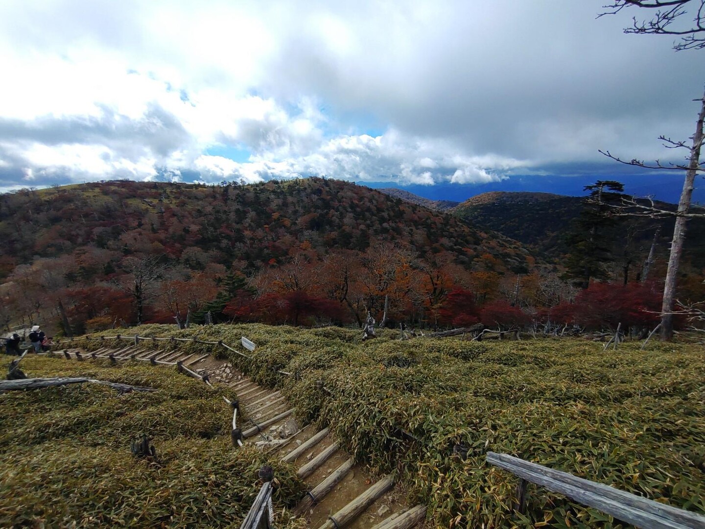大台ヶ原山（日出ヶ岳） / c-boyさんの大台ヶ原山・日出ヶ岳・大杉谷の活動データ | YAMAP / ヤマップ